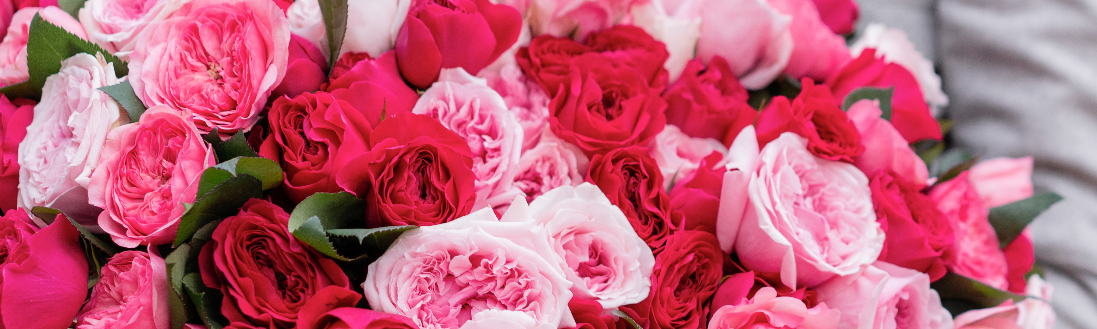 Tucson Same-Day Flower Delivery | Casas Adobes Flower Shop Tucson